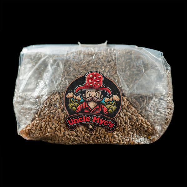 Rye Berry Grain 100% Sterilized Mushroom Spawn Bag (4lb.) – Uncle Myc's