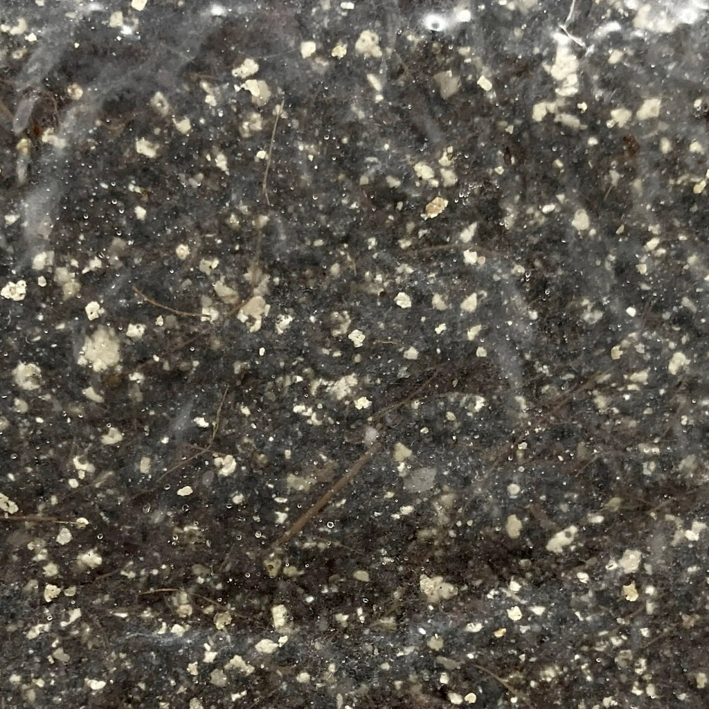 CVG Supplemented Bulk Substrate (8lb.) – Uncle Myc's